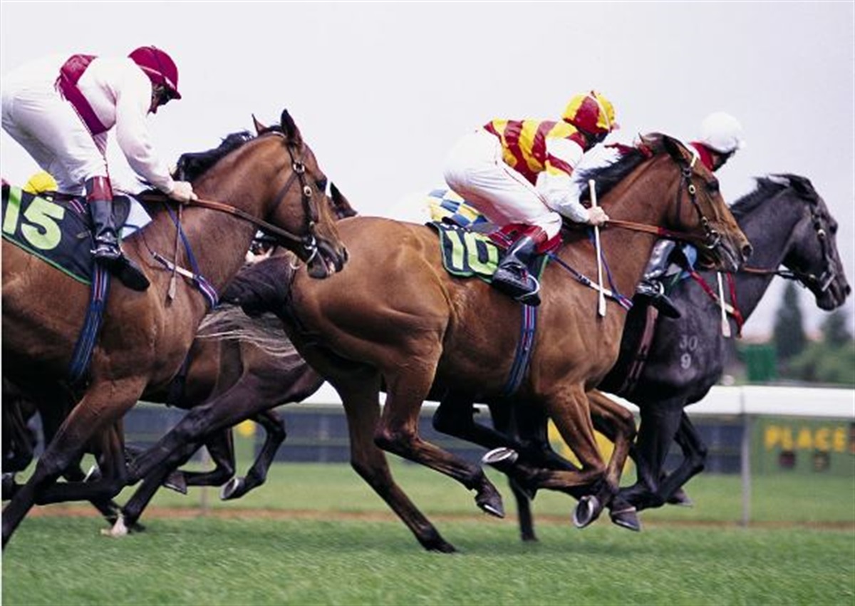 Melbourne Cup Day public holiday retained - Gannawarra Shire Council