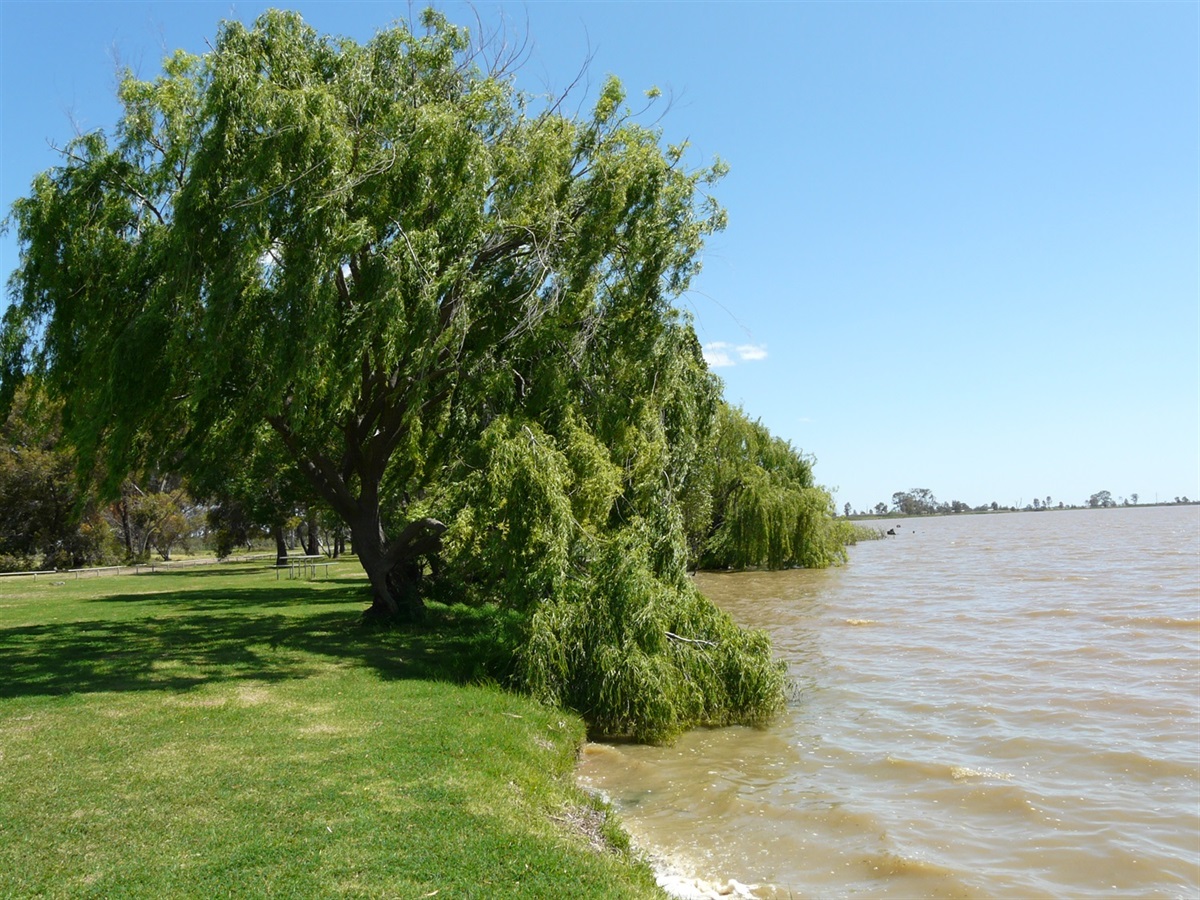 Apex Park, Reedy Lake - Gannawarra Shire Council